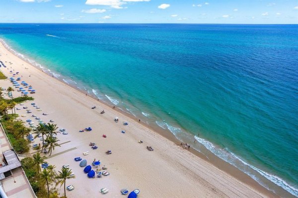 The Commodore | The Alex Team